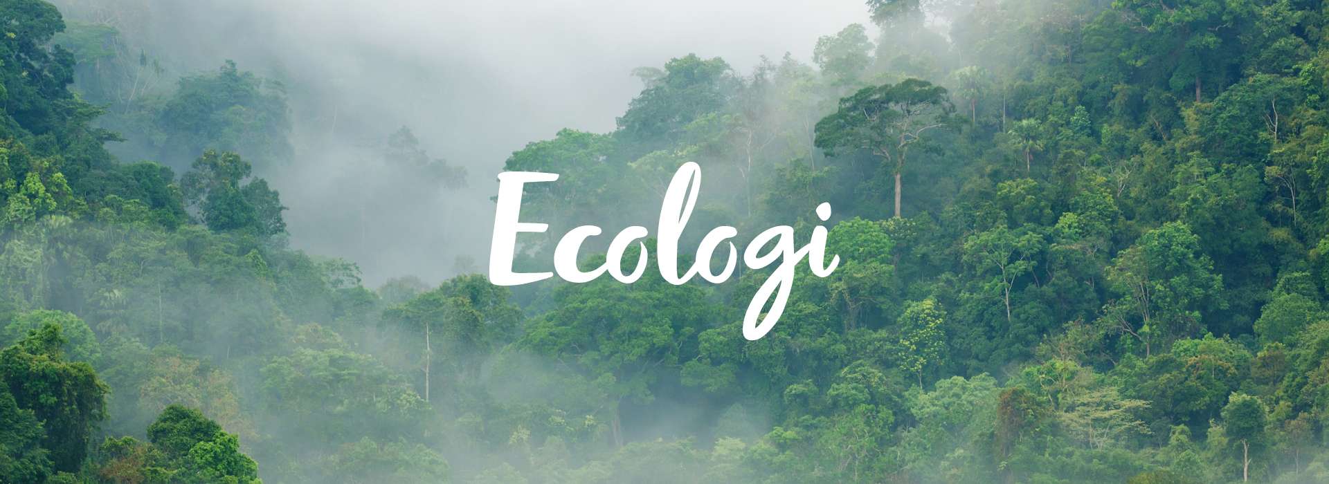 Sustainability in recruitment & sustainable recruitment practice